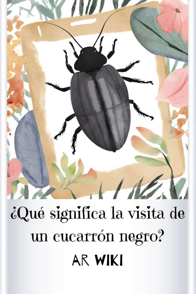 ¿Qué significa la visita de un cucarrón negro?
